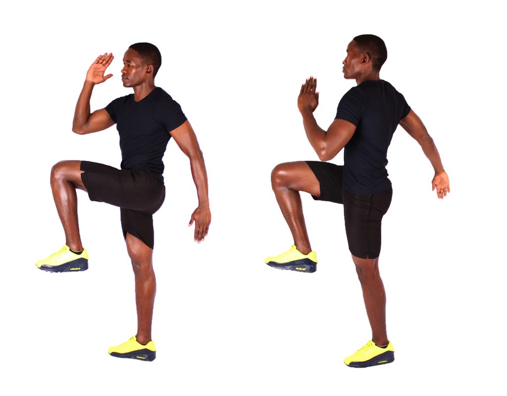 ACE Vs NASM What s The Best CPT For You Fitness Mentors